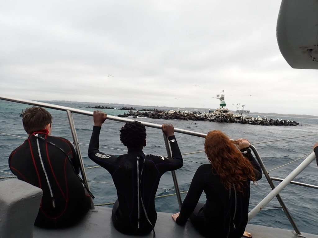 A fantastic start to 2026 for our REEF 2 participants - Cottage by the Sea