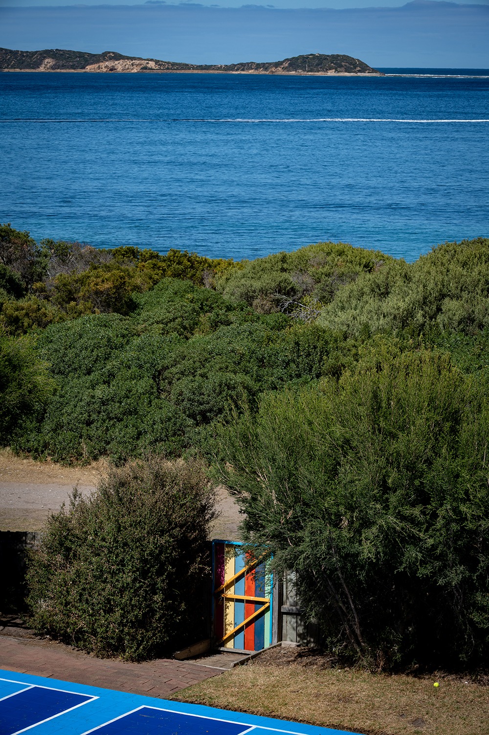 Media release: Deakin University publishes new research on the medium ...